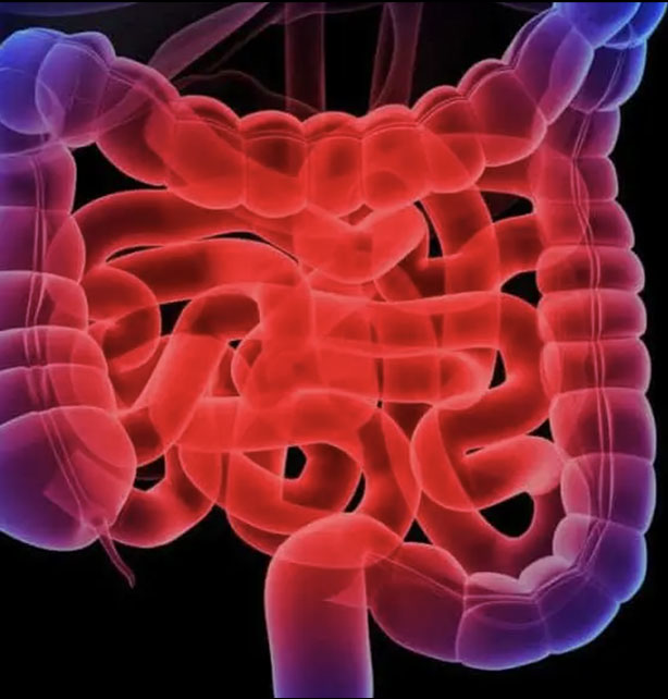 Events - IBD Symposium